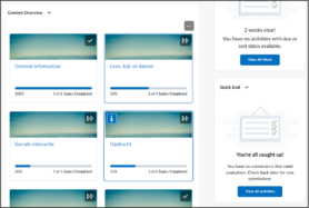 Visual Table of Contents | Brightspace Support